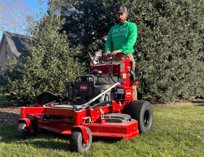 How to Choose the Right Landscaping Supplies for Your Needs? - The Vine ...